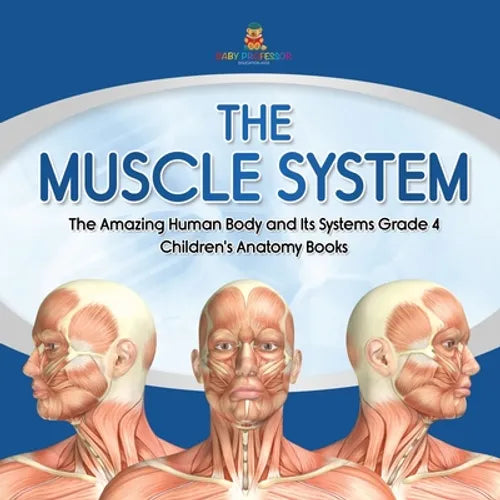 The Muscle System The Amazing Human Body and Its Systems Grade 4 Child ...